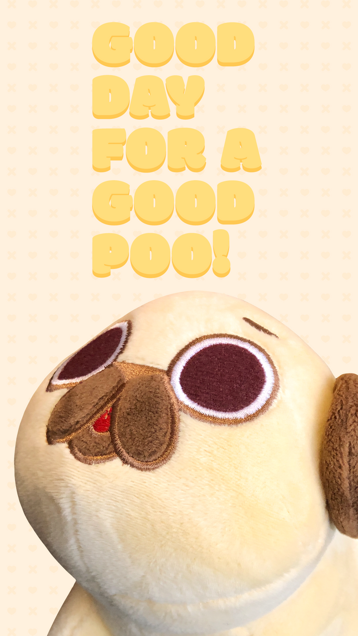 Digital Poots – Puglie Mart